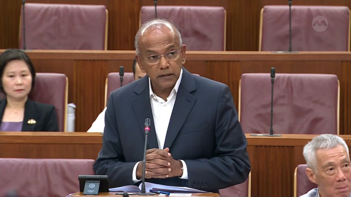 K Shanmugam on relevance of CMIO race model - CNA