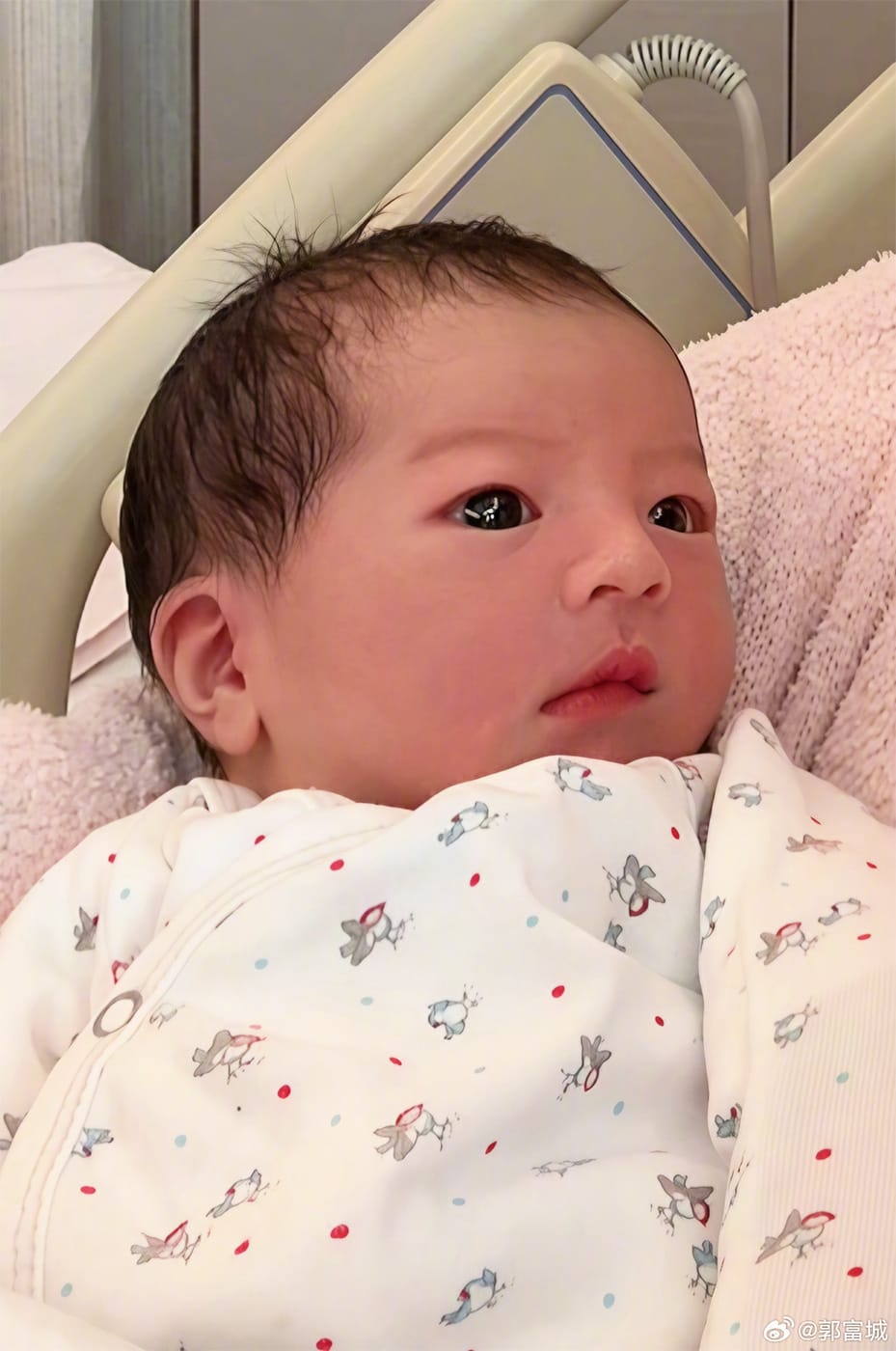 Aaron Kwok Welcomes 3rd Daughter, Not Son
