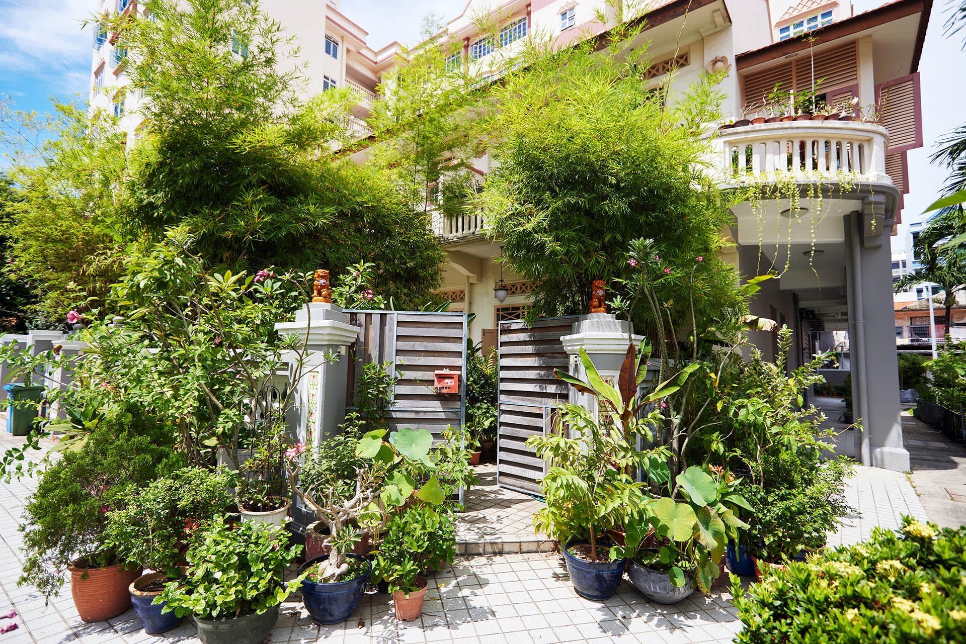 With Over 300 Plants At Home, This Plant Enthusiast Transformed His ...