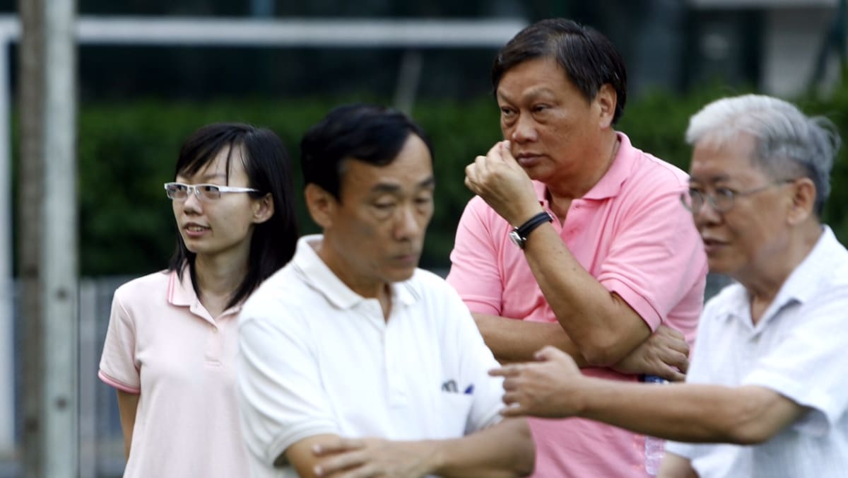 Gallery: Independent candidate Han Hui Hui holds her first GE2015 rally ...