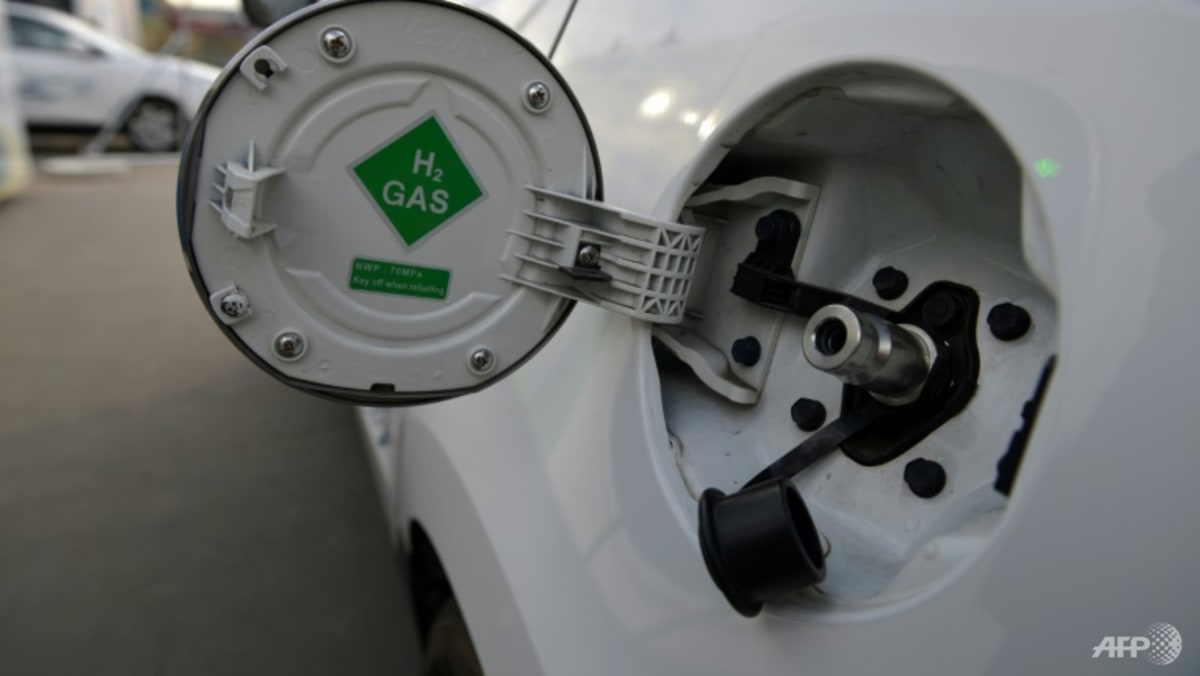Commentary: Singapore strives to develop a hydrogen economy by 2050 ...
