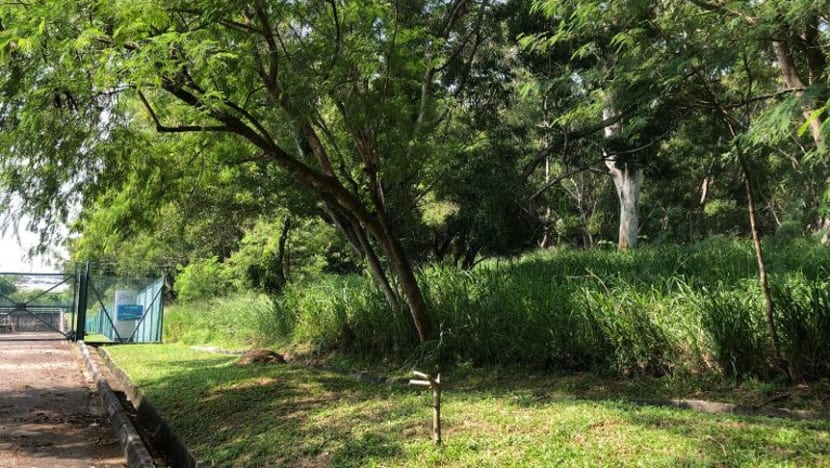 Jelajah kampung yang pernah wujud di belakang Penjara Changi - BERITA ...