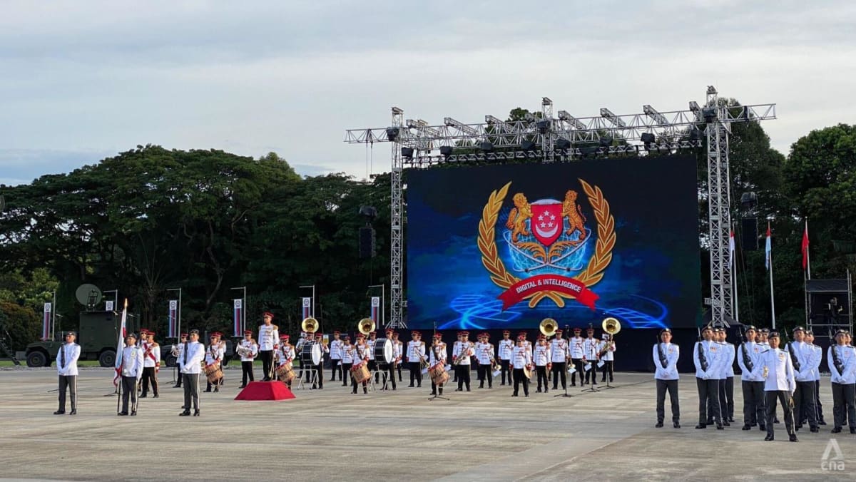 SAF formally establishes Digital and Intelligence Service - CNA