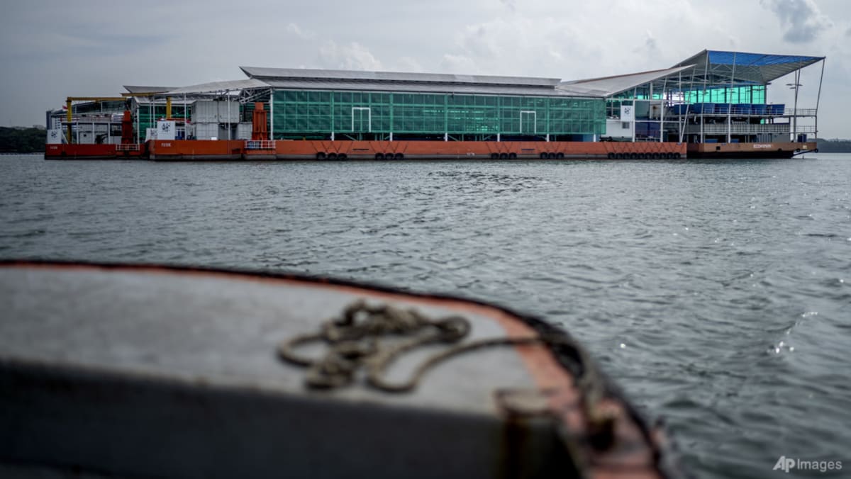 How does Singapore monitor radiation levels in water, land and air? - CNA