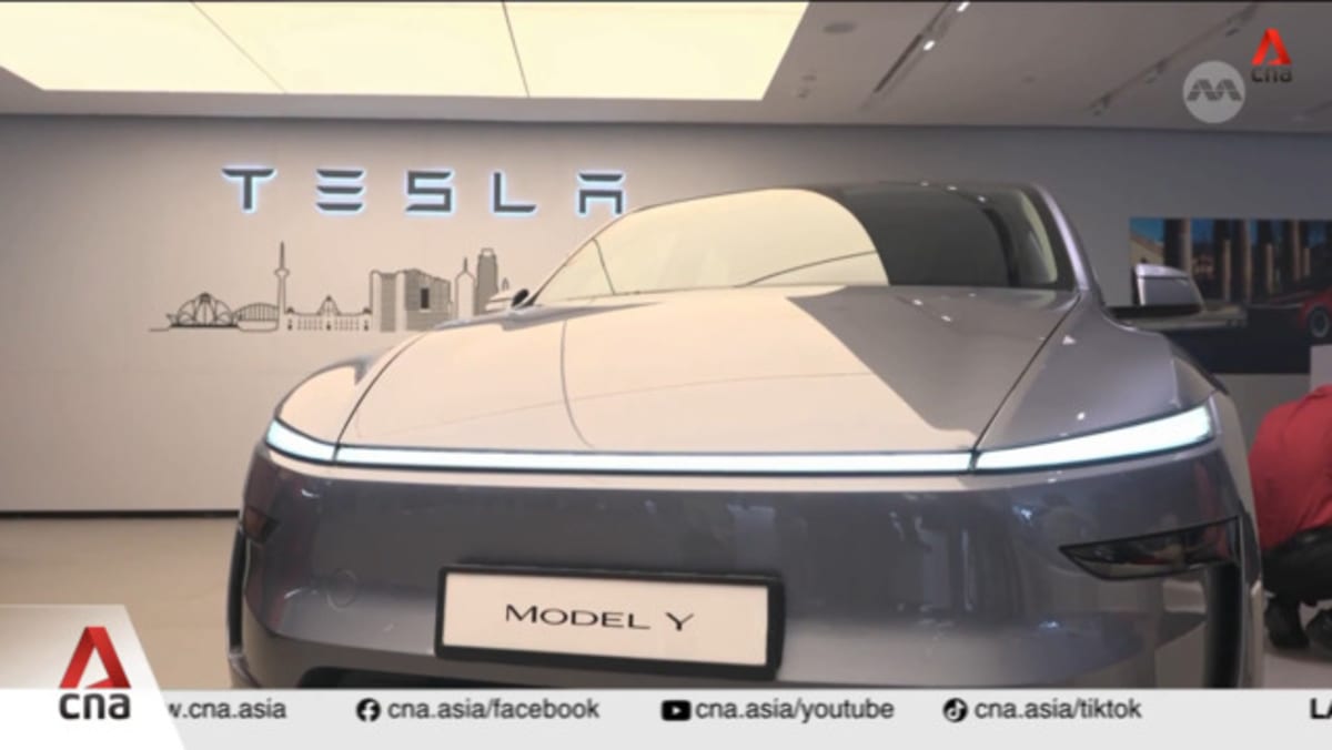 Tesla's entry into India falls short of expectations - CNA