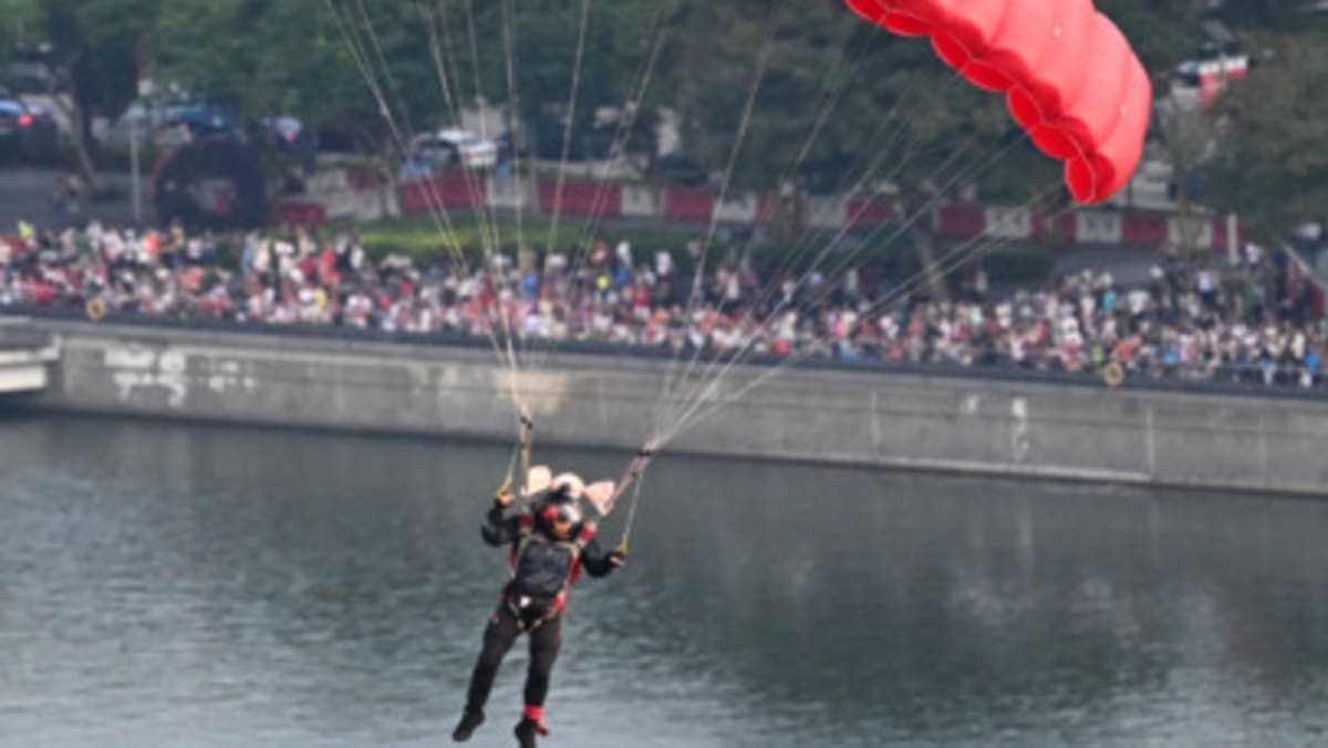 NDP 2025: Red Lions aerial display - CNA