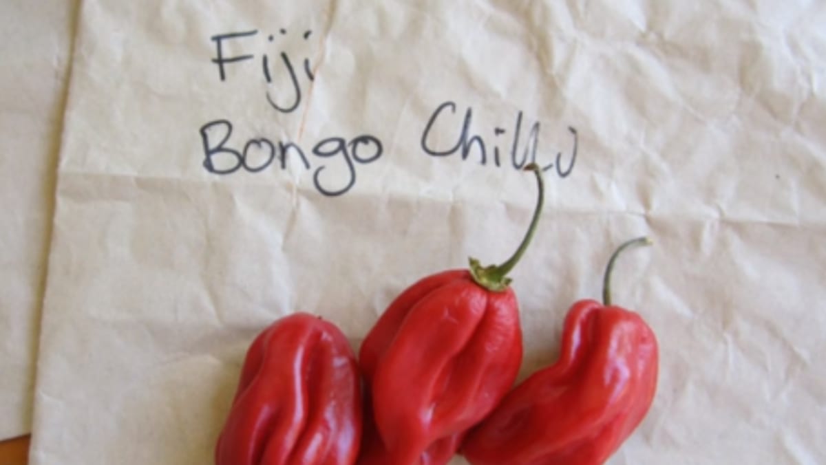 New Zealand men charged over bongo chilli assault - TODAY