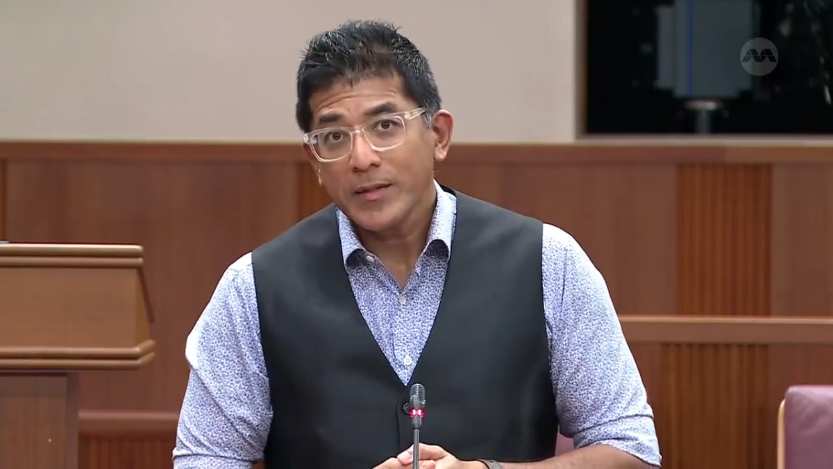 Committee of Supply 2024 debate, Day 6: Darryl David on social harmony ...