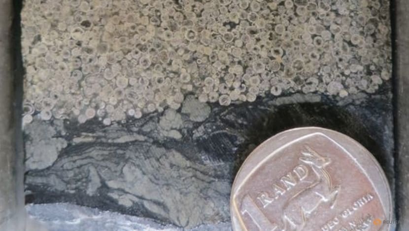 Ancient meteorite was 'giant fertilizer bomb' for life on Earth - CNA