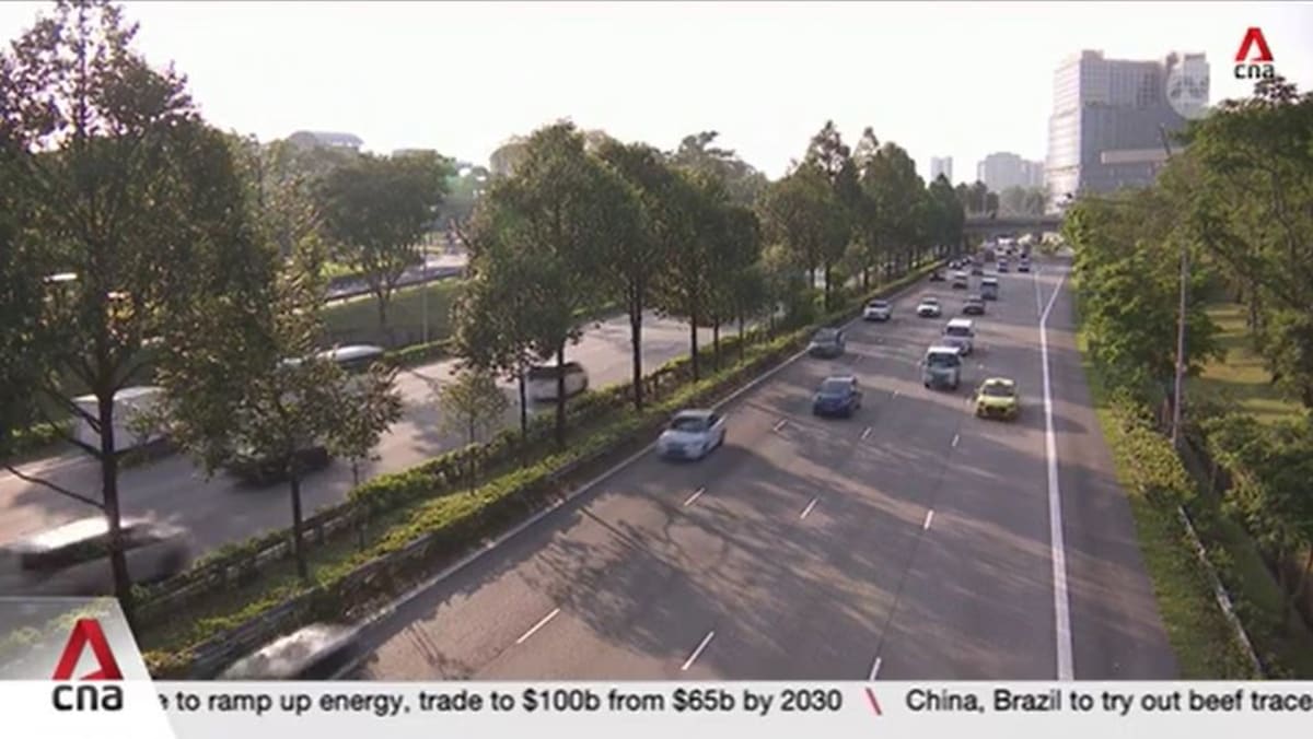 Number of diesel cars in Singapore to shrink rapidly by mid-2030s: Industry watcher - CNA