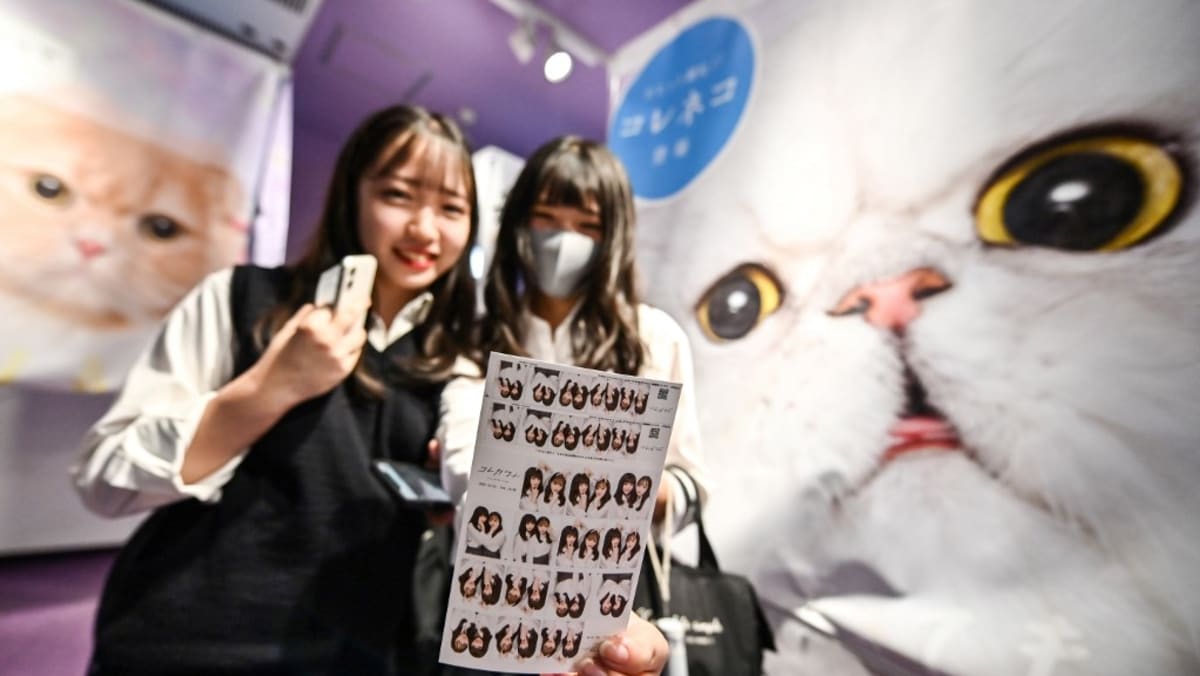 Surviving selfies: Japan's purikura photo booths cling on - TODAY