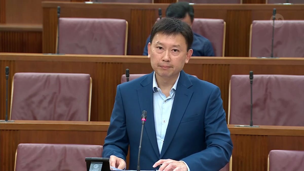 Chee Hong Tat on Customs (Amendment) Bill - CNA