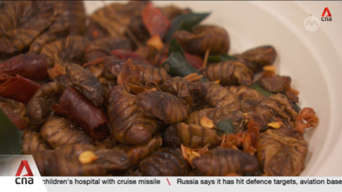Grasshoppers, crickets, mealworms among 16 insect species approved as food in Singapore - CNA