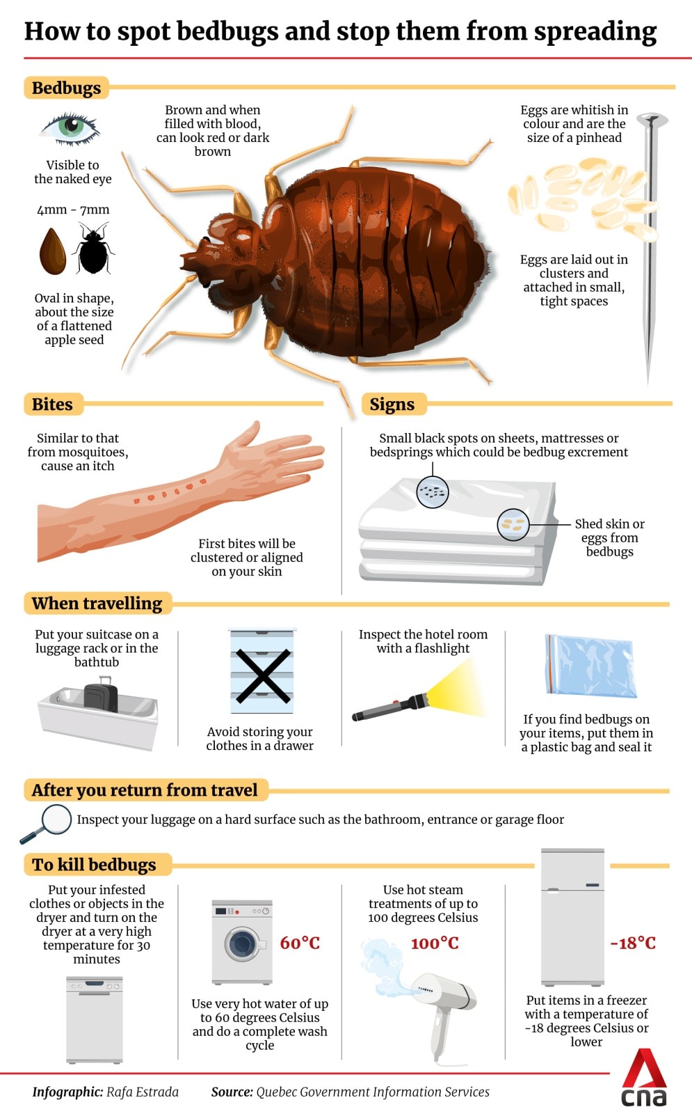 Bed Bugs Bug How Do Bed Bugs Spread In Santa Fe NM? | New Mexico Pest