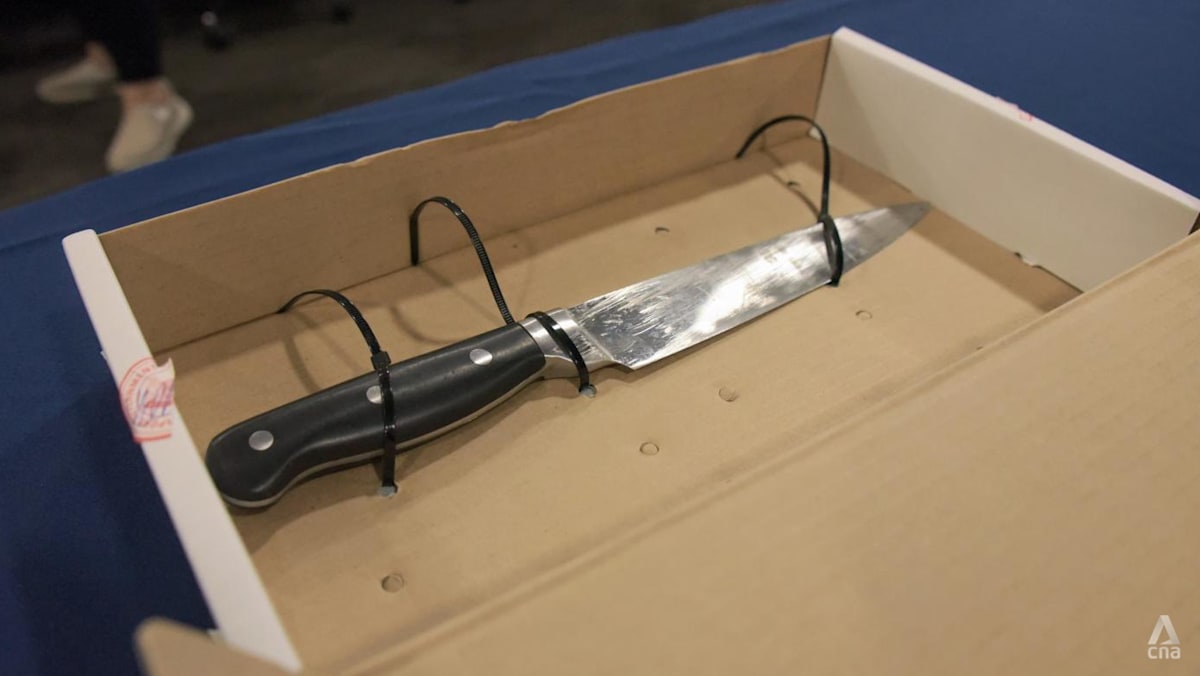 Knife-wielding man dies after being shot by police at Bendemeer Road - CNA