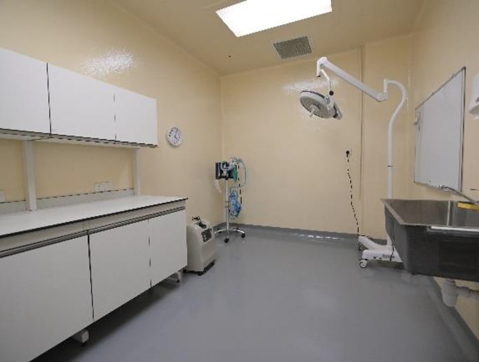 Singapore opens first dedicated facility for animal behavioural ...