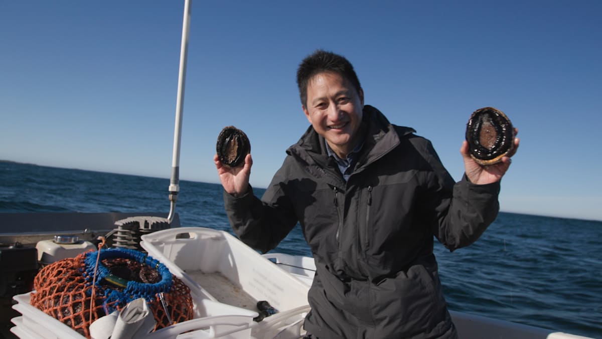 Talking Point 2025/2026 - Abalone: Why Is It So Expensive? - CNA