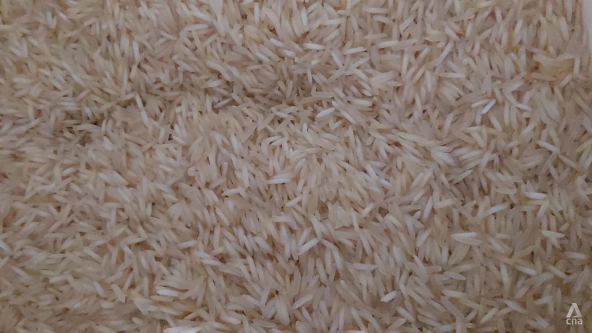 Approval permits to import rice still needed, says Malaysia agriculture ...