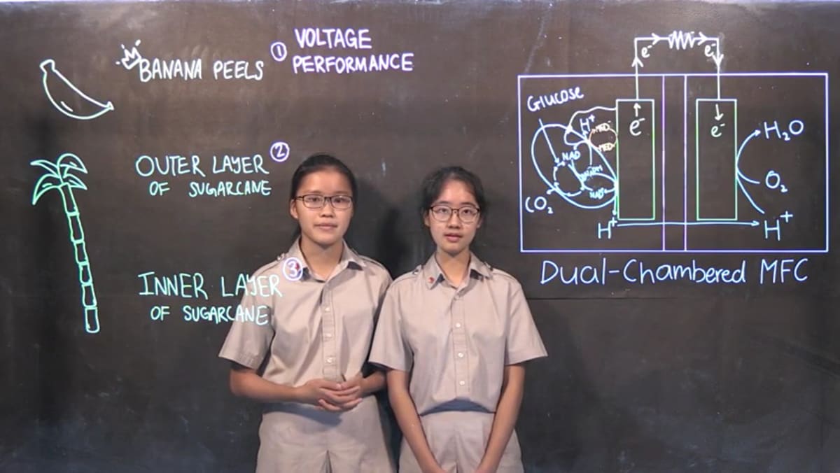 Two Singaporean students picked as finalists for annual Google Science ...