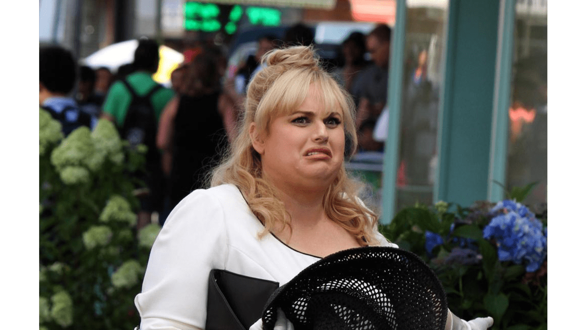 Rebel Wilson rushed to hospital after fall - 8days