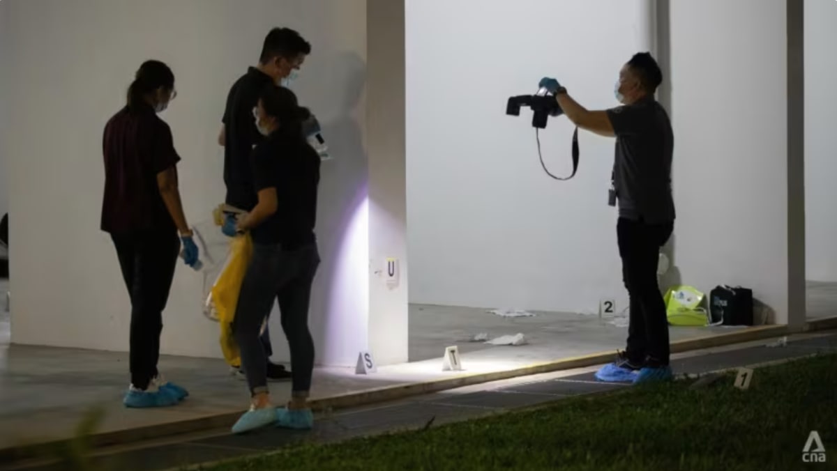 Lelaki 50 tahun didakwa kerana bunuh lelaki 41 tahun di blok HDB Clementi - BERITA Mediacorp