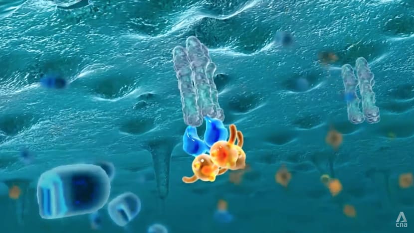 Treating Cancer with Targeted Therapy - CNA