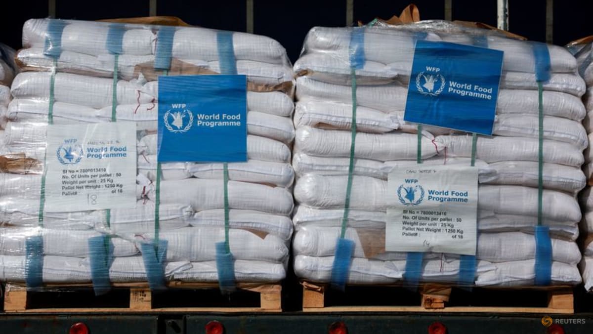 Some flour reaches Gaza as blockade eases, aid groups call for more - CNA