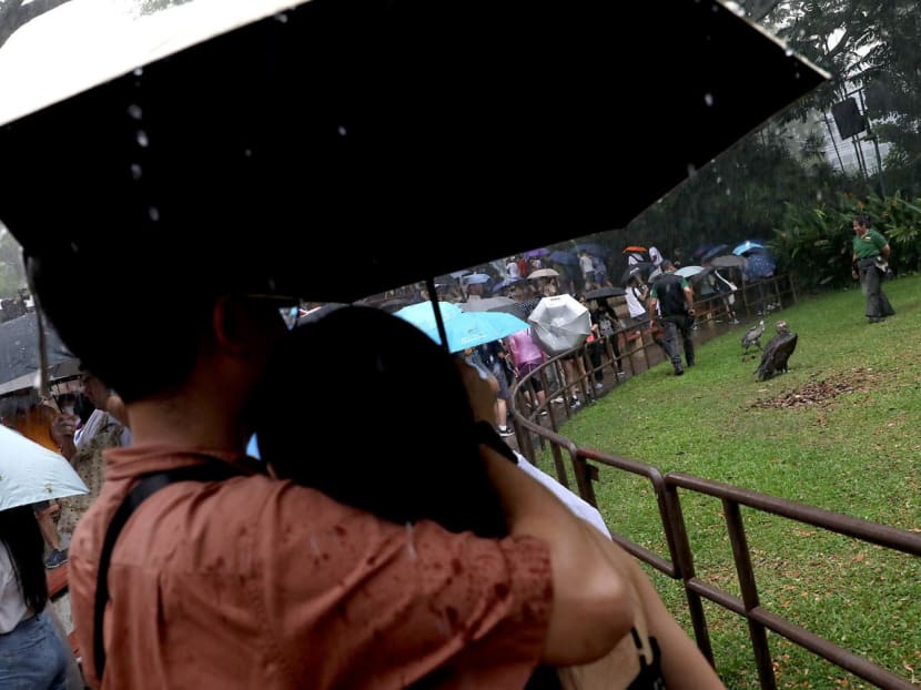 Jurong Bird Park shuts after 52 years, 2,600 people show up for final ...
