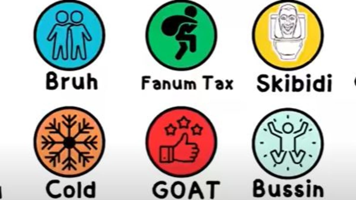 Skibidi, Ohio, Sigma - Gen Alpha சொற்களின் அர்த்தம் தெரியுமா? - Seithi ...