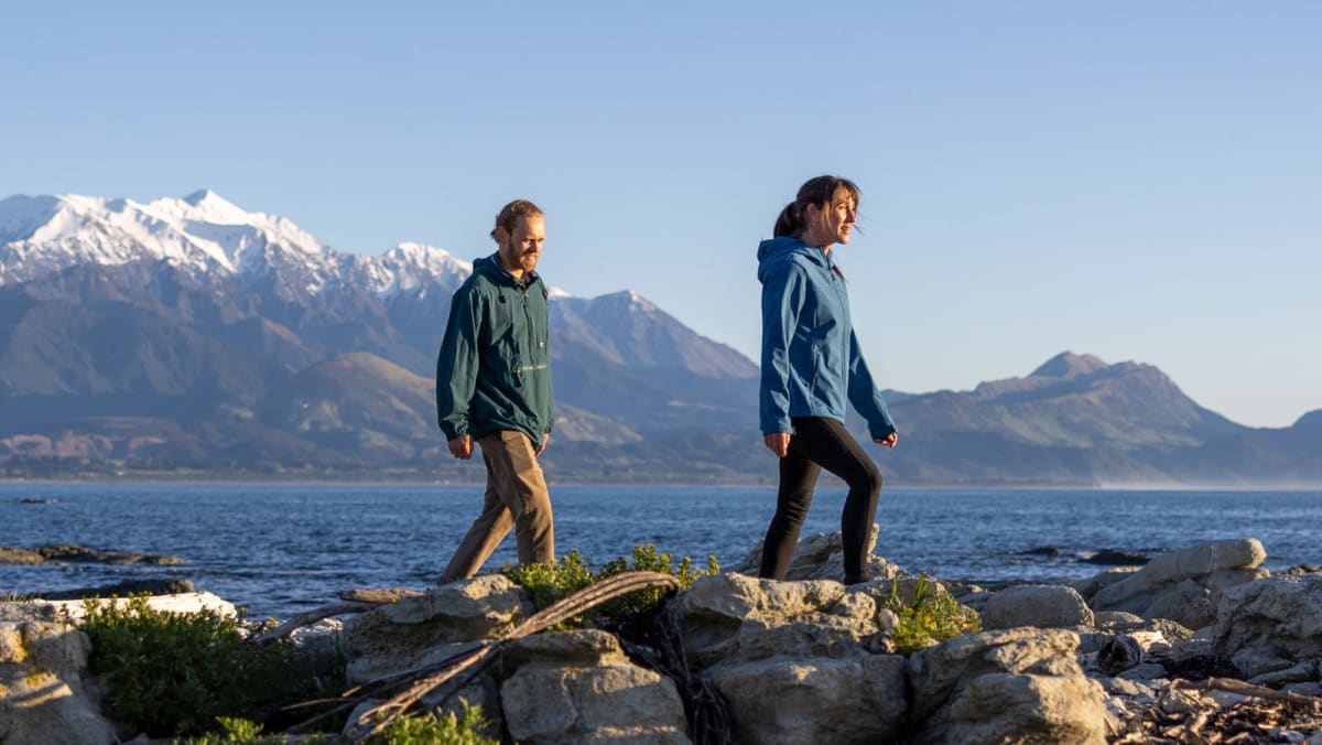 From springtime splendours to autumn adventures, New Zealand’s wonders ...