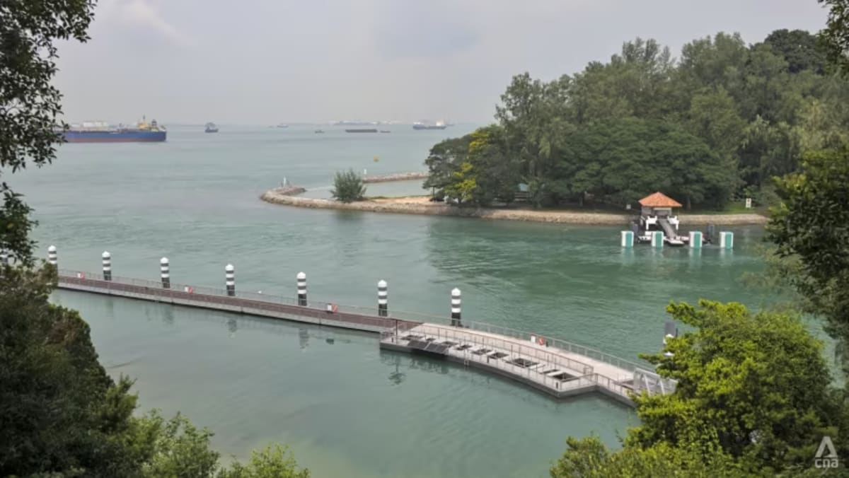 Pulau Subar Laut dibuka semula selepas 3 tahun - BERITA Mediacorp