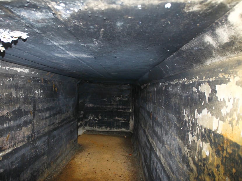 Abandoned war site at Marsiling added to list of NHB guided tours - TODAY