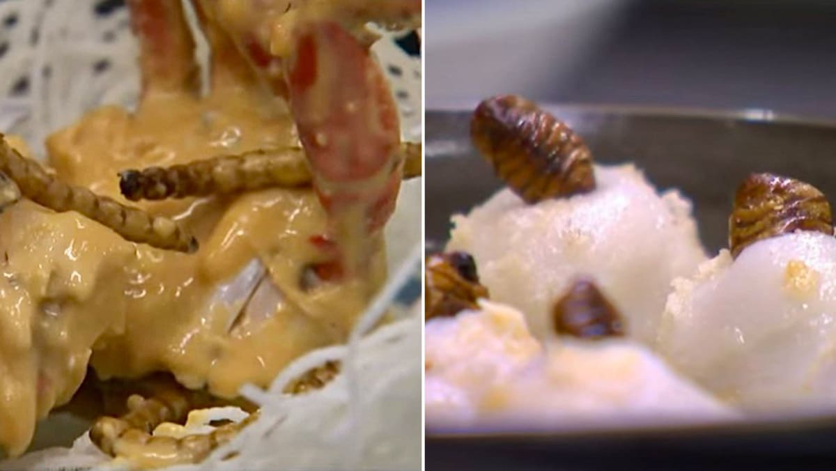 Eating bugs in S’pore: Here are the nutritional values of insects like ...
