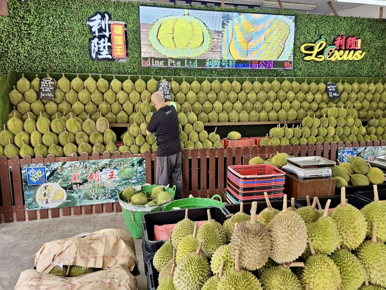 15 Mao Shan Wang Durian Shops That Accept SG60 & CDC Vouchers - 8days