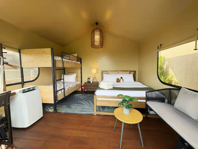 What To Expect At Colugo Camp, Mandai Wildlife Reserve’s New Luxury ...