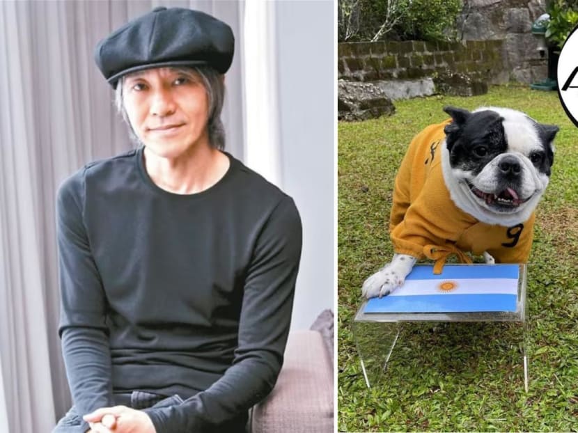 Stephen Chow’s Pet French Bulldog Predicted Argentina’s World Cup ...