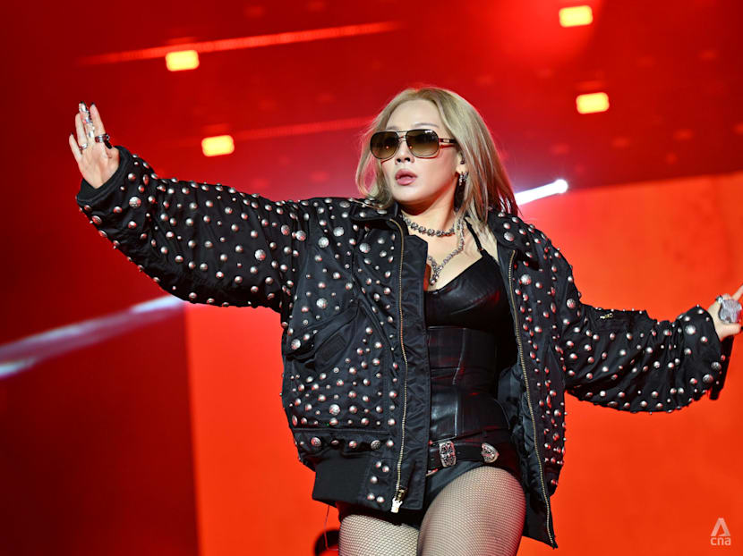2NE1’s CL referred to prosecutors for running unregistered ...