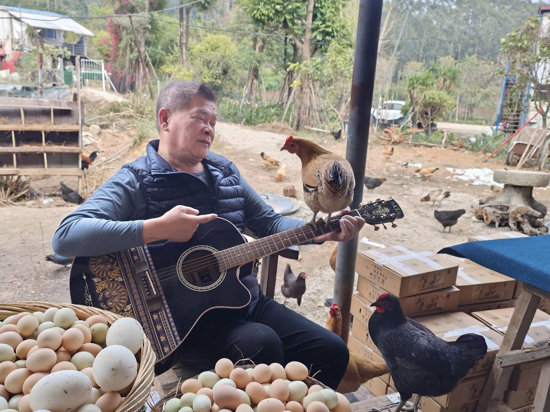 Taiwanese Host Peng Chia Chia, 69, Sells Sweet Potatoes To Pay Off ...
