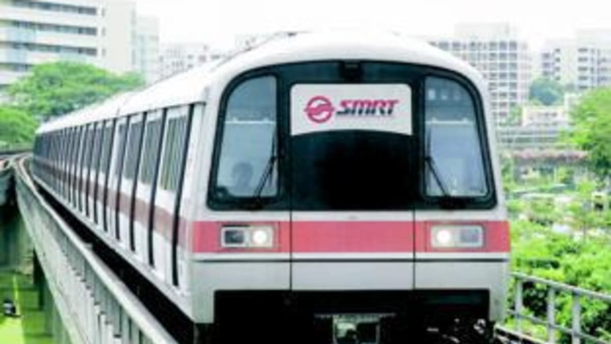 177 MRT track intrusions since 2003 - TODAY