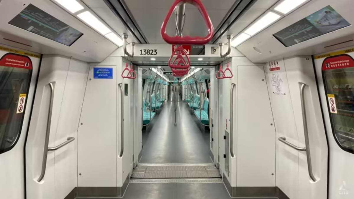 New train fleets, track circuit, power supply systems: North-South ...