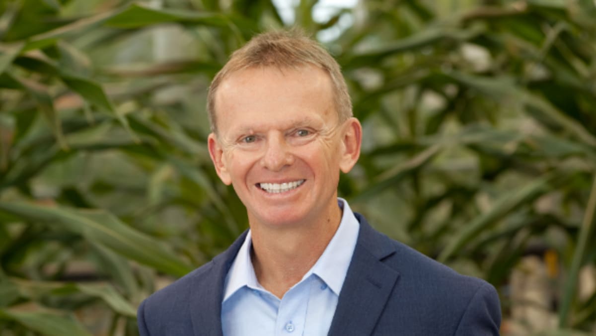Peter Ford - CNA Luxury