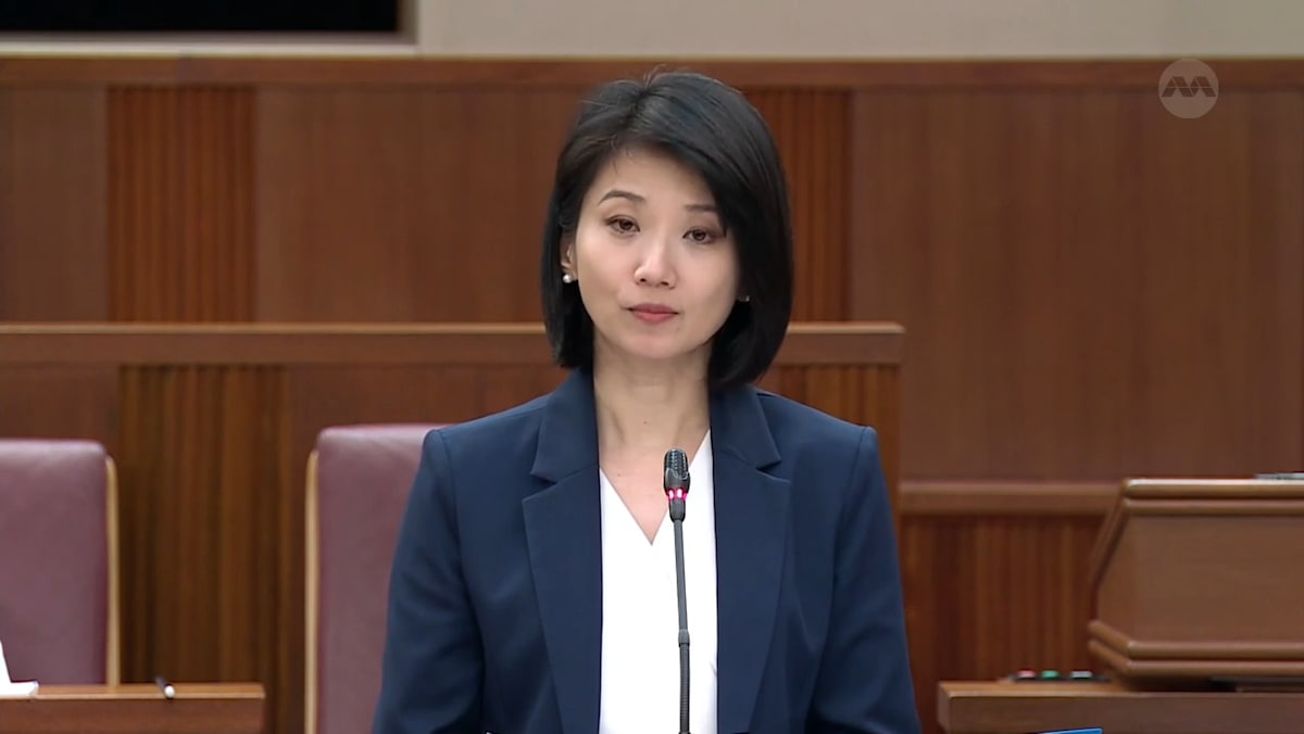Sun Xueling on racial harmony and constitutional amendment bills - CNA