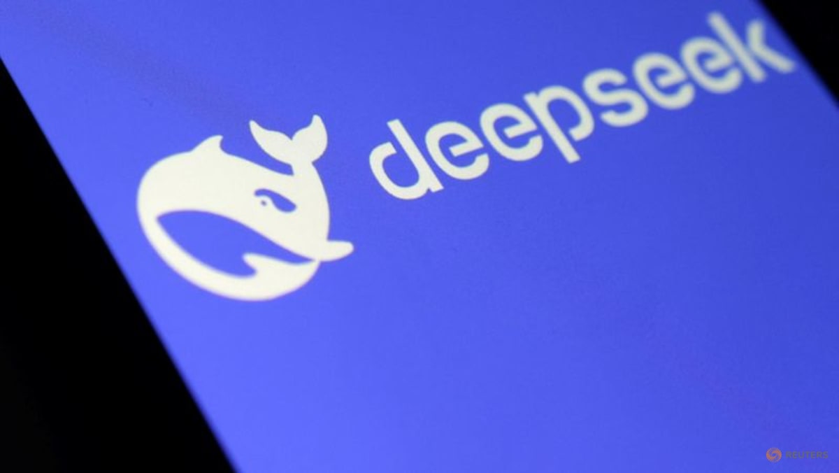 DeepSeek to launch new AI model focused on coding in February, The ...