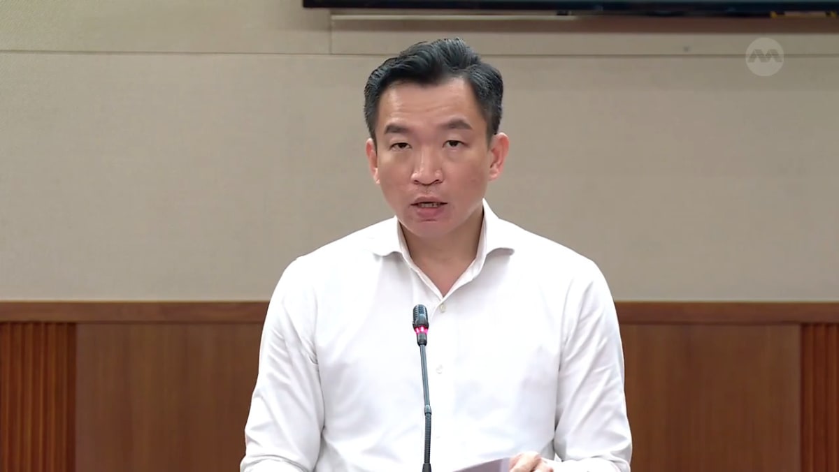 Committee of Supply 2025 debate, Day 6: Eric Chua on protection from ...