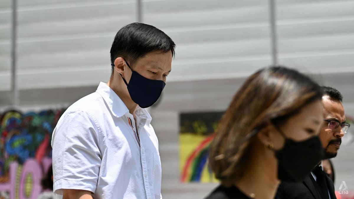 Karl Liew, son of former Changi Airport Group chairman, admits lying to ...