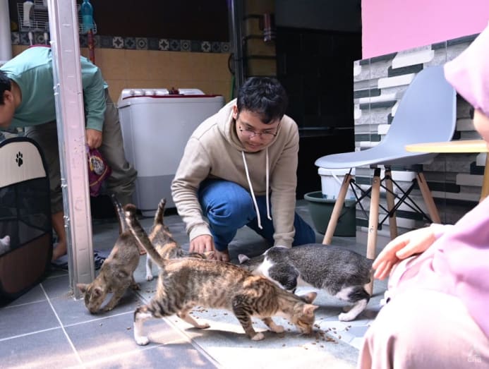 YouTube content creators: Meet Animasinopal, Indonesian content ...