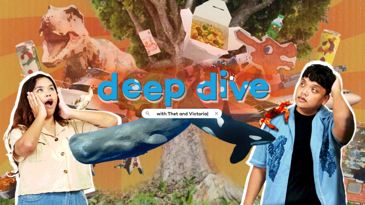 Deep Dive - CNA