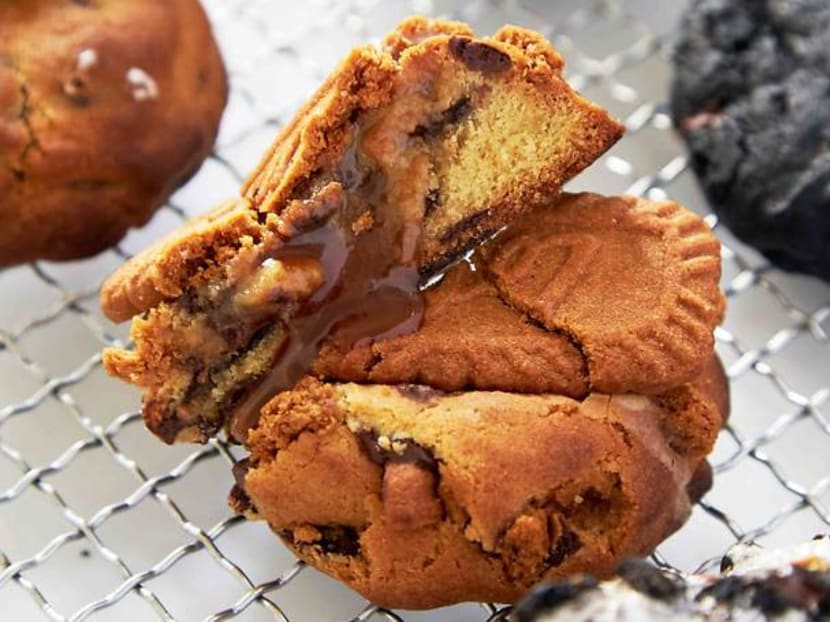 bodybuilding biscuits