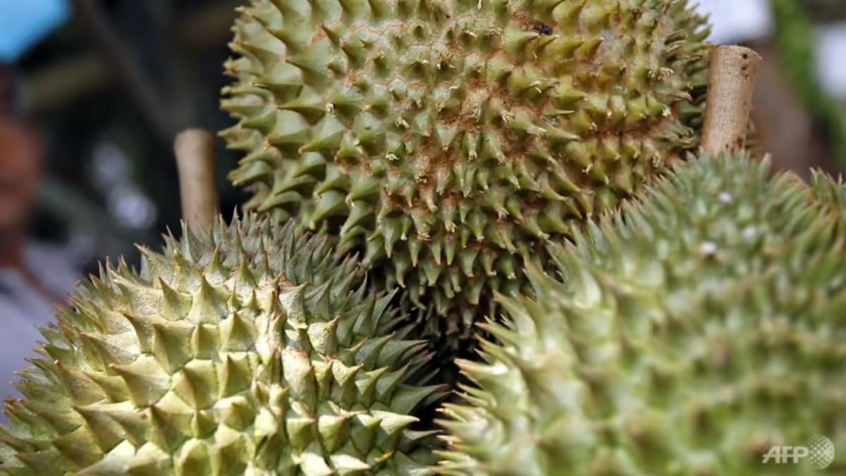 durian fruit in tamil