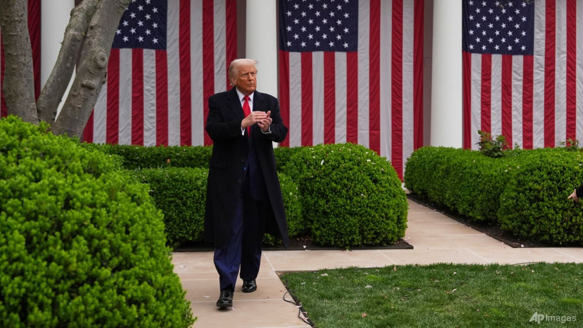 Here's how Trump calculated tariffs. The math has baffled economists - CNA